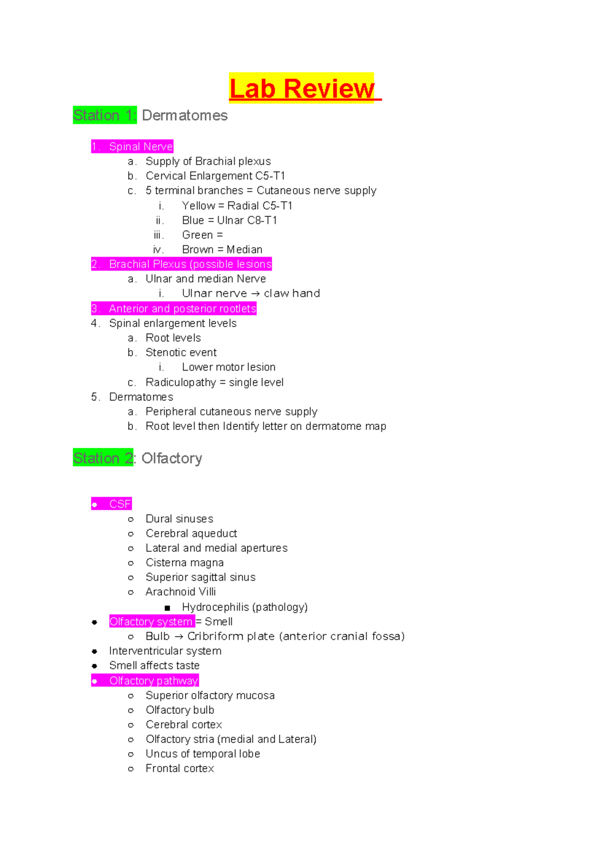 Lab Sem Review - Lab Review Station 1: Dermatomes 1. Spinal Nerve a ...