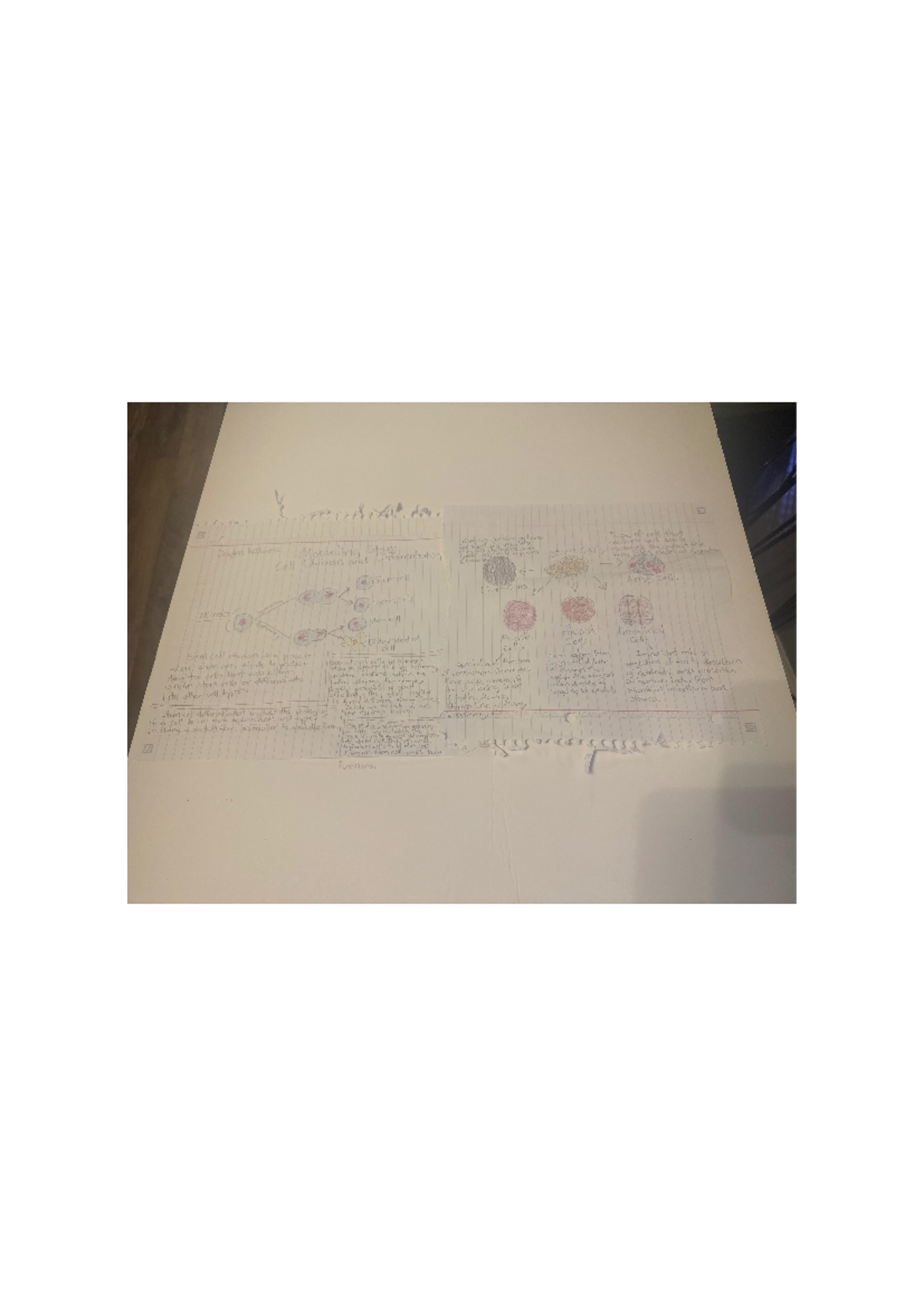 Advanced Studies of Black Ops 6 Zombies - S21 Produces certain proteins ...