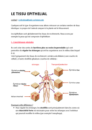Le Tissu Nerveux - LE TISSU NERVEUX I-Généralités L'anatomie est ...