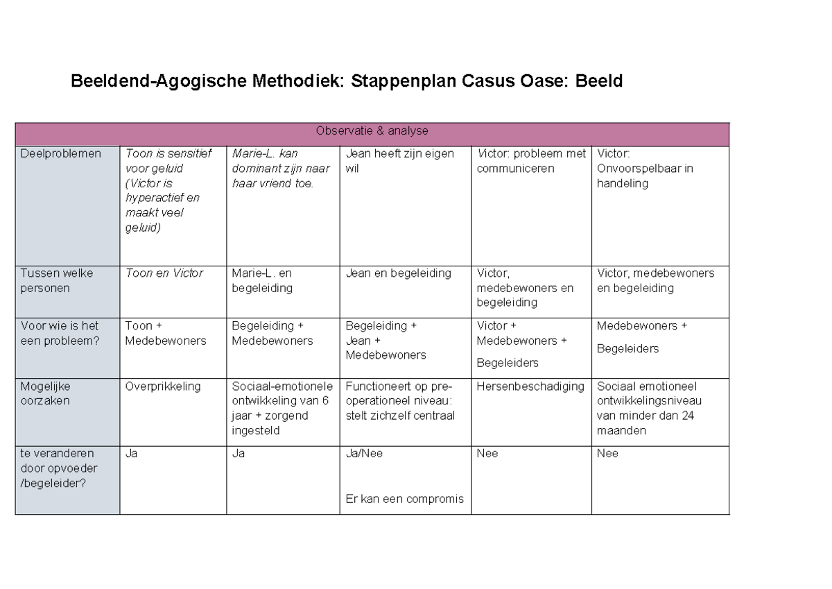 Stappenpan in team - Beeldend-Agogische Methodiek: Stappenplan Casus ...