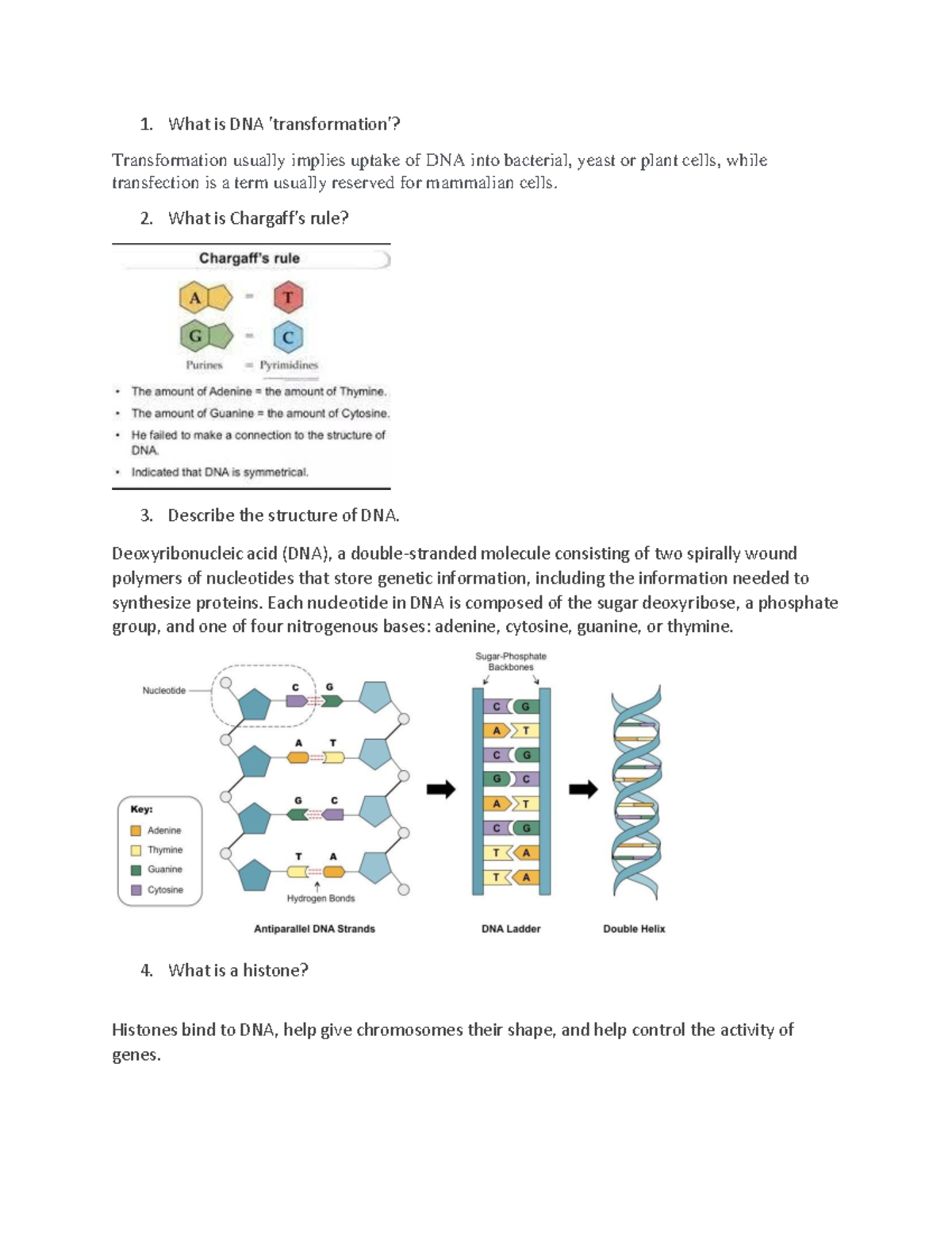 Chp 11 Study Guide Bio 105 - What is DNA 'transformation ...