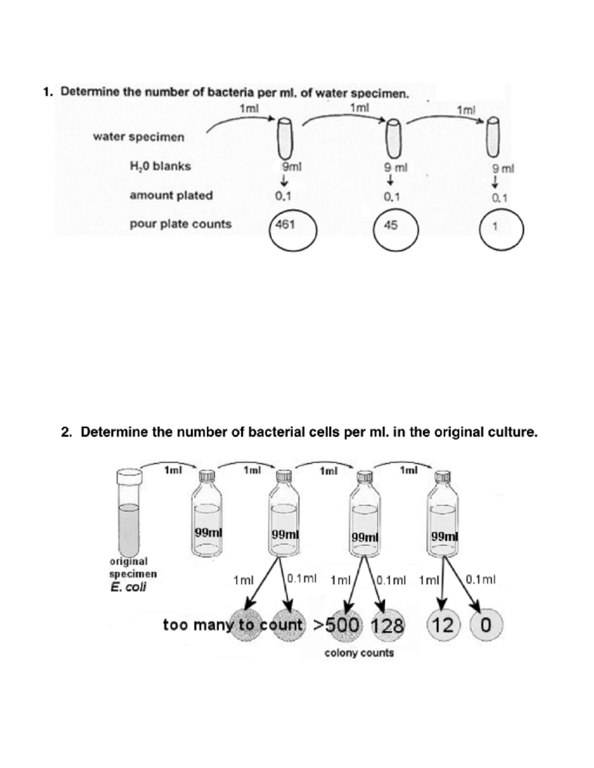 Cell count math problems - A cafeteria worker who fails to wear gloves ...