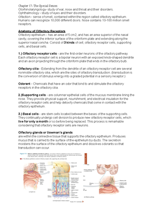 BIOL1410 anatomy syllabus the year 2019 - 1 BIOL 1410 ANATOMY OF THE ...