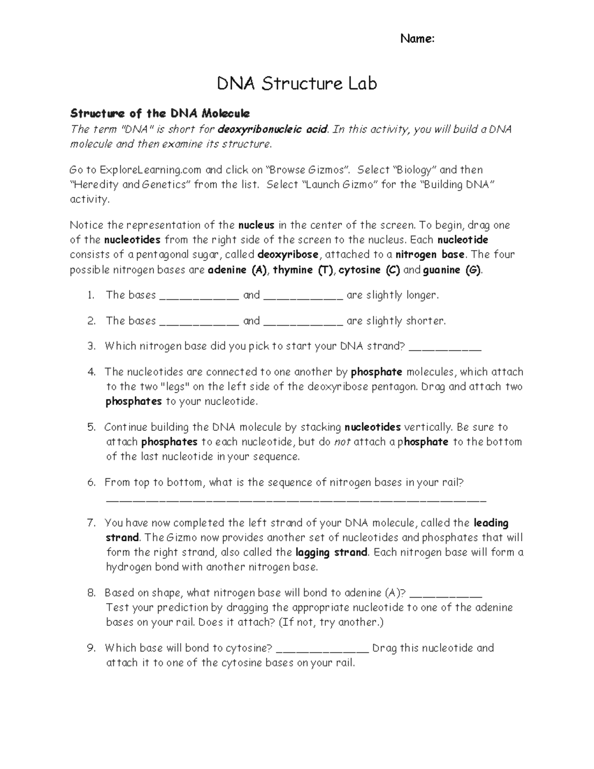 DNA Structure Lab - SSSsS - DNA Structure Lab Structure of the DNA ...