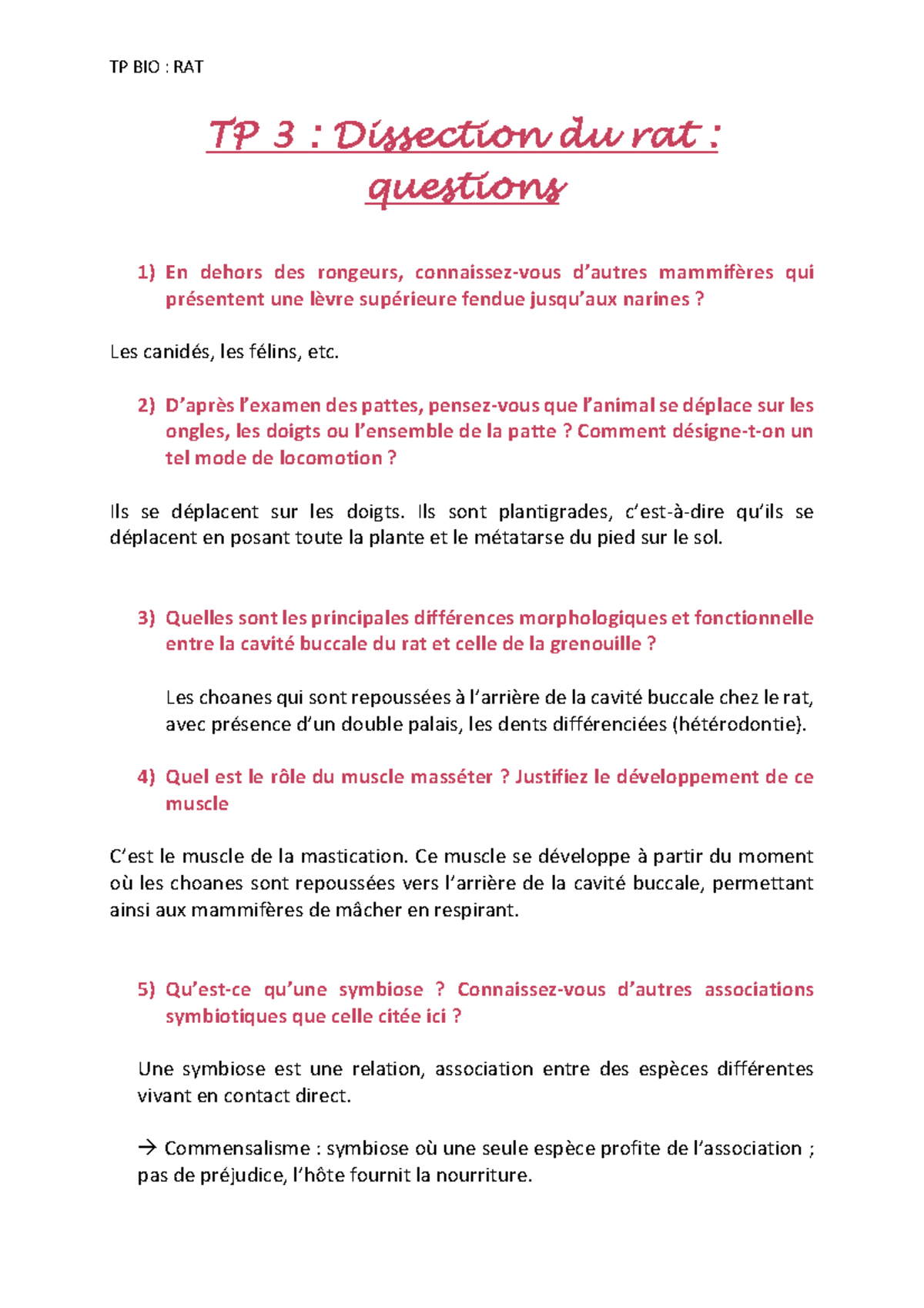 TP 3 - rat- questions - tp nn j j jj jj jj j j j j - TP 3 : Dissection ...