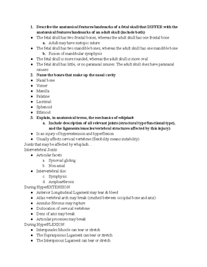 Unit 5 Study Guide Human Anatomy - Unit 5 Study Guide Respiratory ...