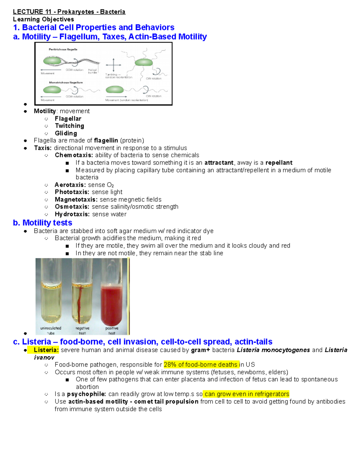 Prokaryotes Bacteria: Cell Properties Motility Adhesion and Pathogens ...