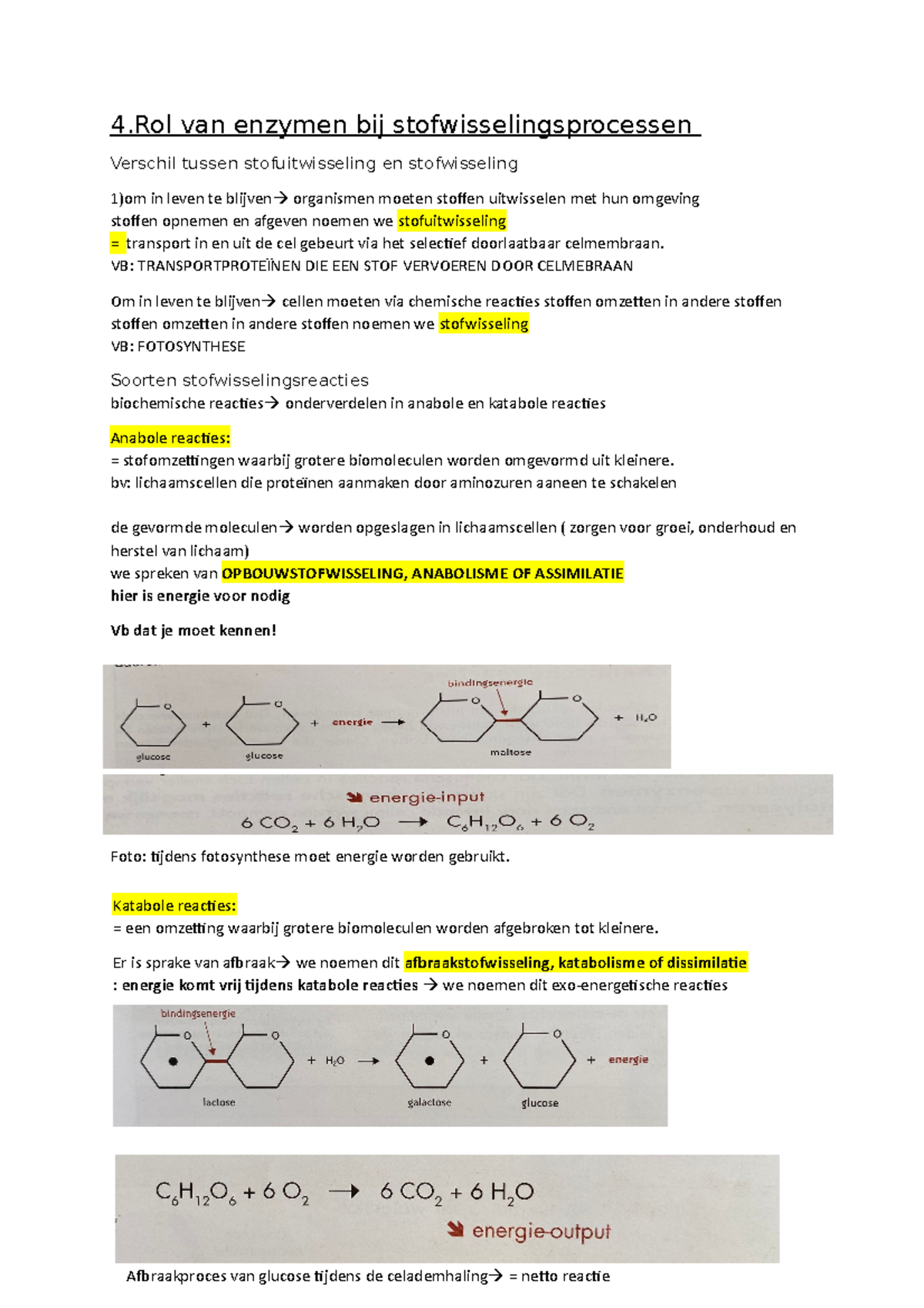 4 enzymen - 4 van enzymen bij stofwisselingsprocessen Verschil tussen ...