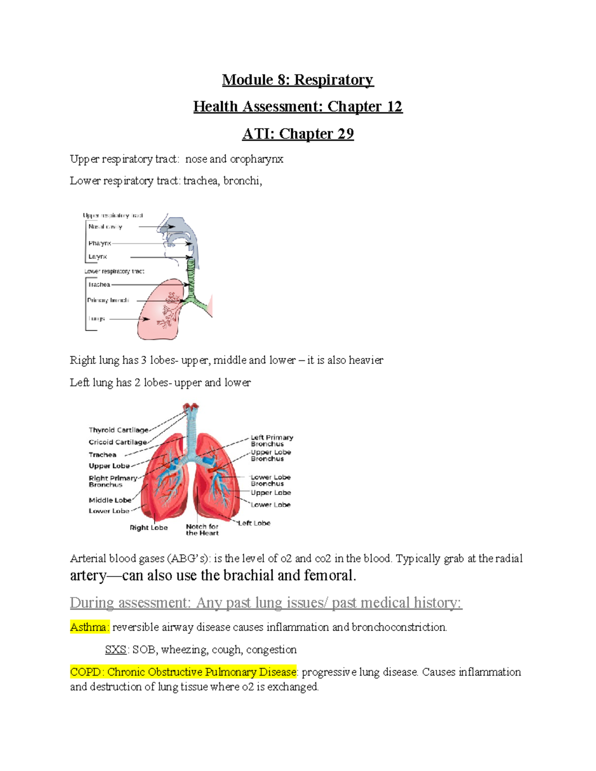 NUR 216 Mod 7 Respiratory Notes - Module 8: Respiratory Health ...