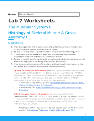 BI 121 Intro to Human Anatomy Week 5 Lab 6 Articulations and Muscles ...