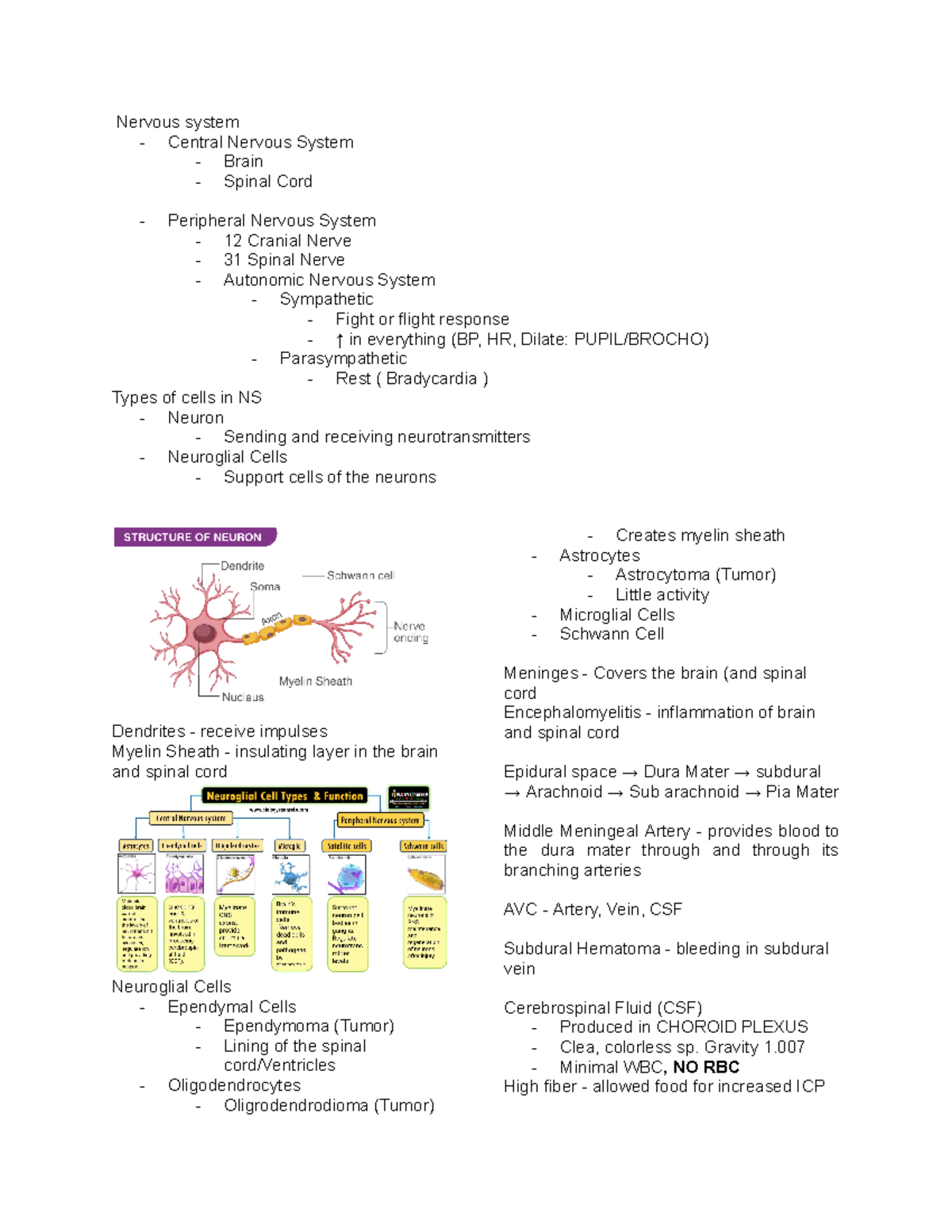 Nervous system - cell - Nervous system - Central Nervous System - Brain ...