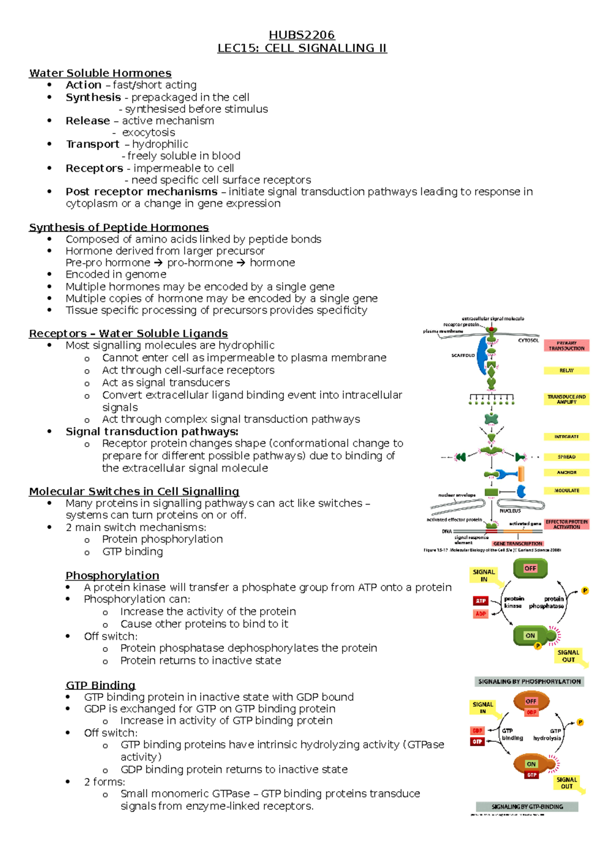 HUBS2206 LEC15 - cell signalling ll - HUBS2206 LEC15: CELL SIGNALLING ...