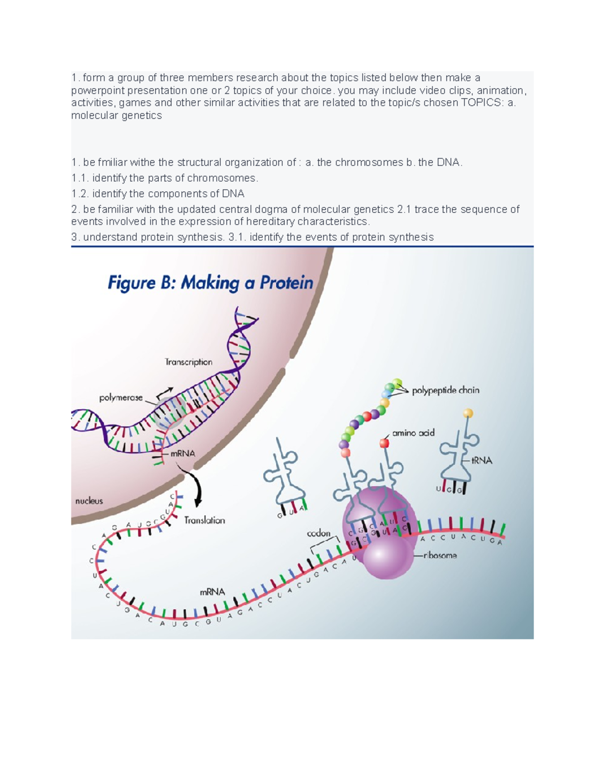presentation for environmental science grade 7 grade 8 grade 9 grade 10 ...
