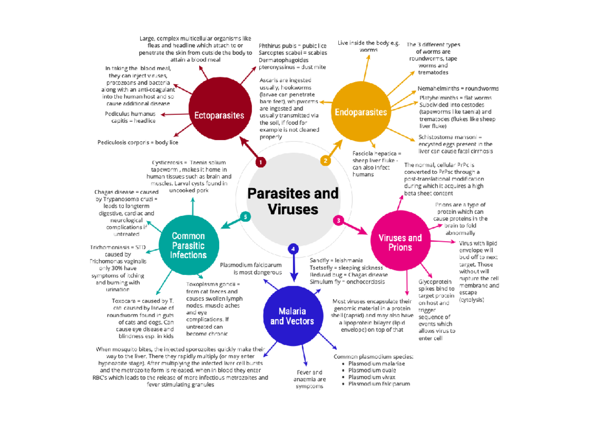 Parasites and viruses mindmap - MP321 - Studocu