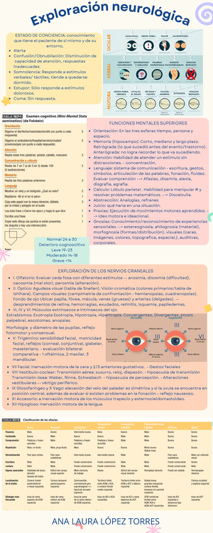 Nerv 2 - 2.1 ÁREA ESPINAL Cavidad vertebral: En la columna vertebral ...
