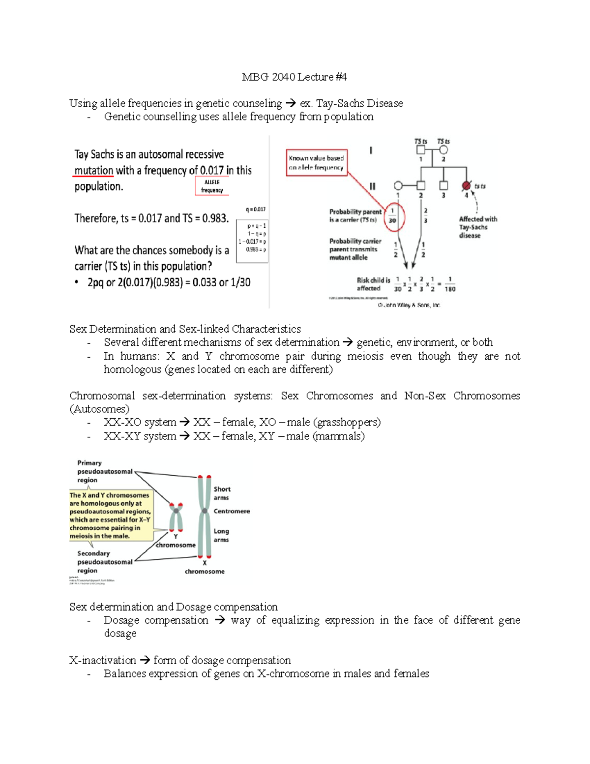MBG 2040 Lecture #4 - notes - Mbg2040 - U of G - StuDocu