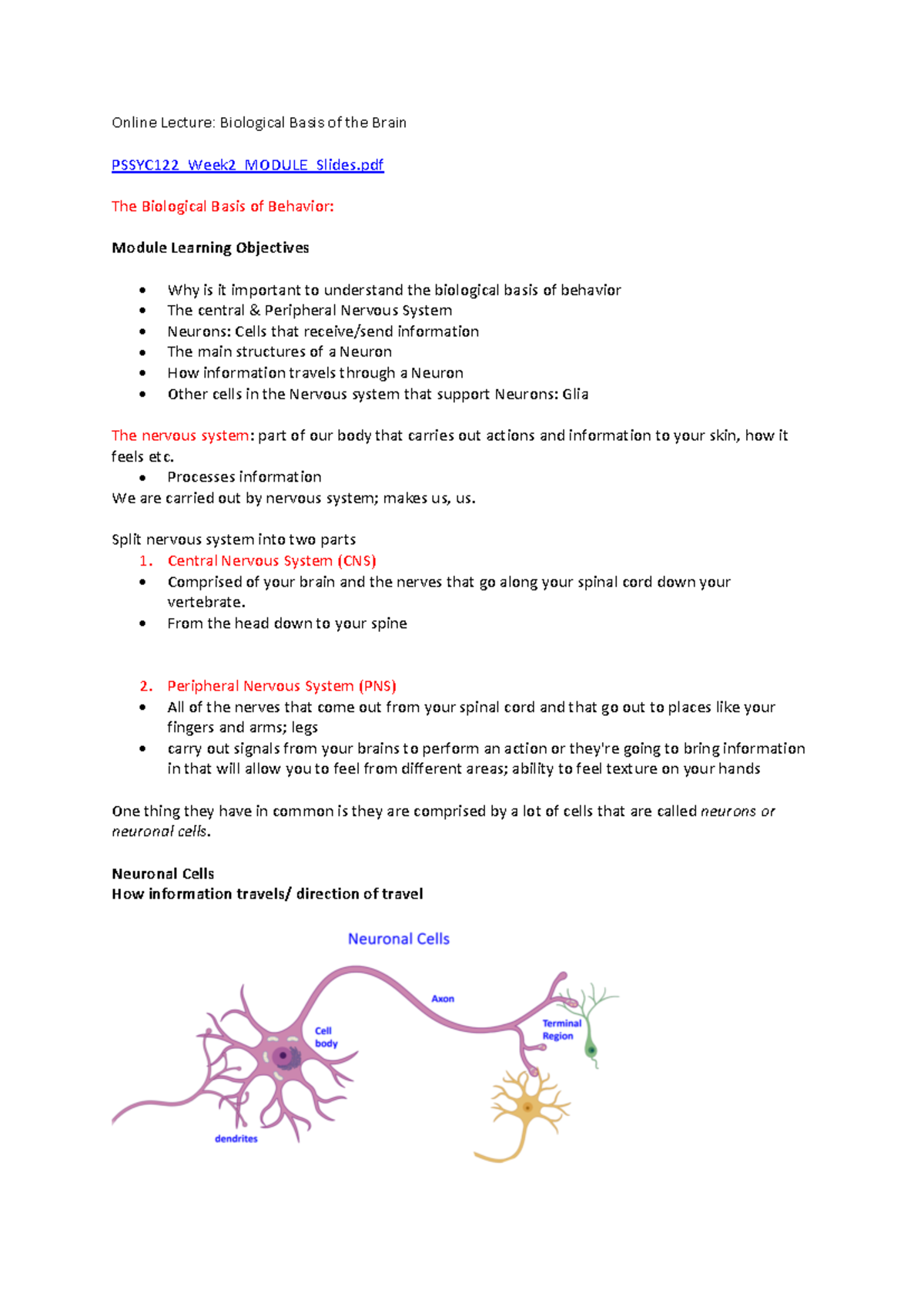 PSYC122 Online Lecture - Online Lecture: Biological Basis of the Brain ...