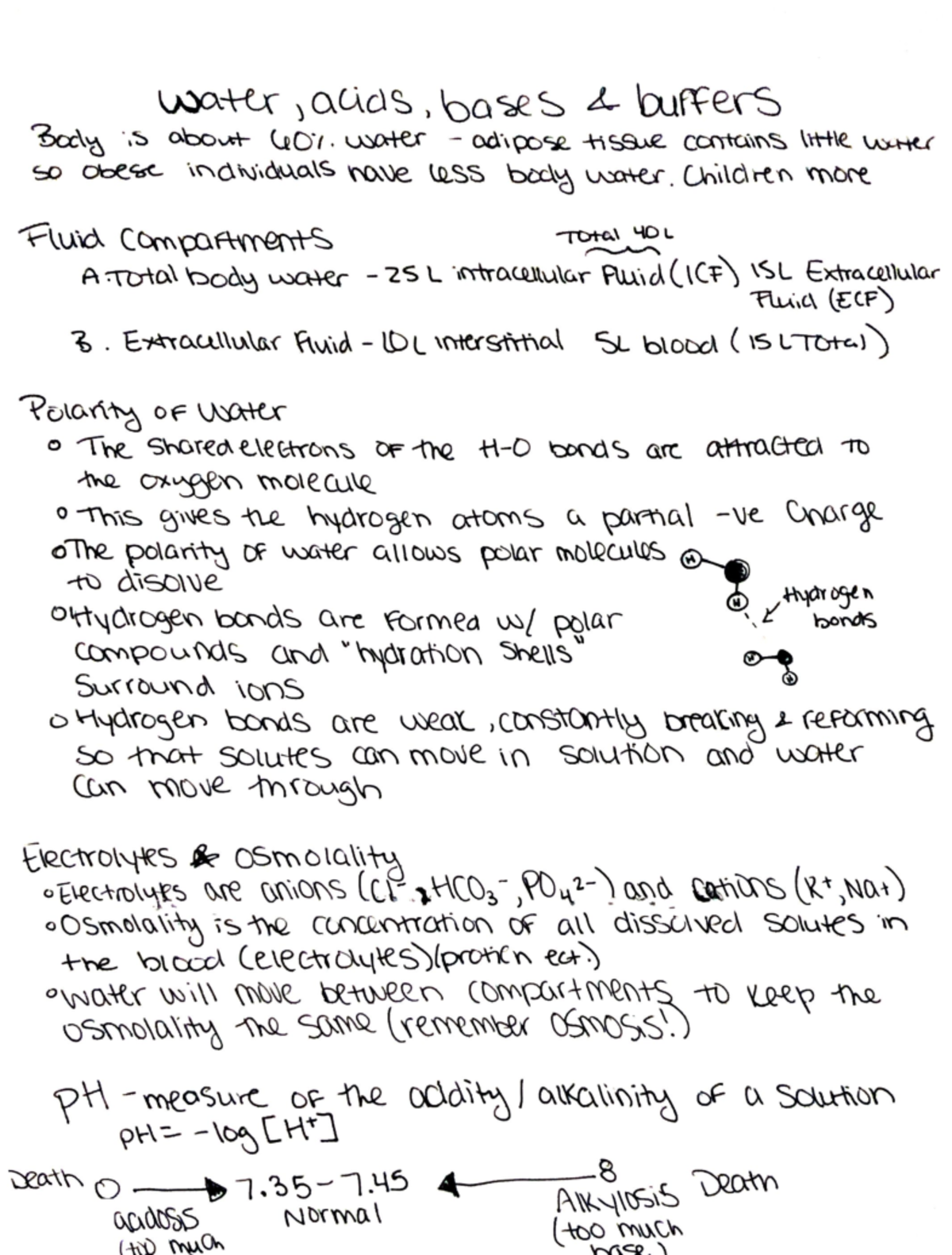 Water, acids, bases and buffers - Hth Sci 1Ll3 - Studocu