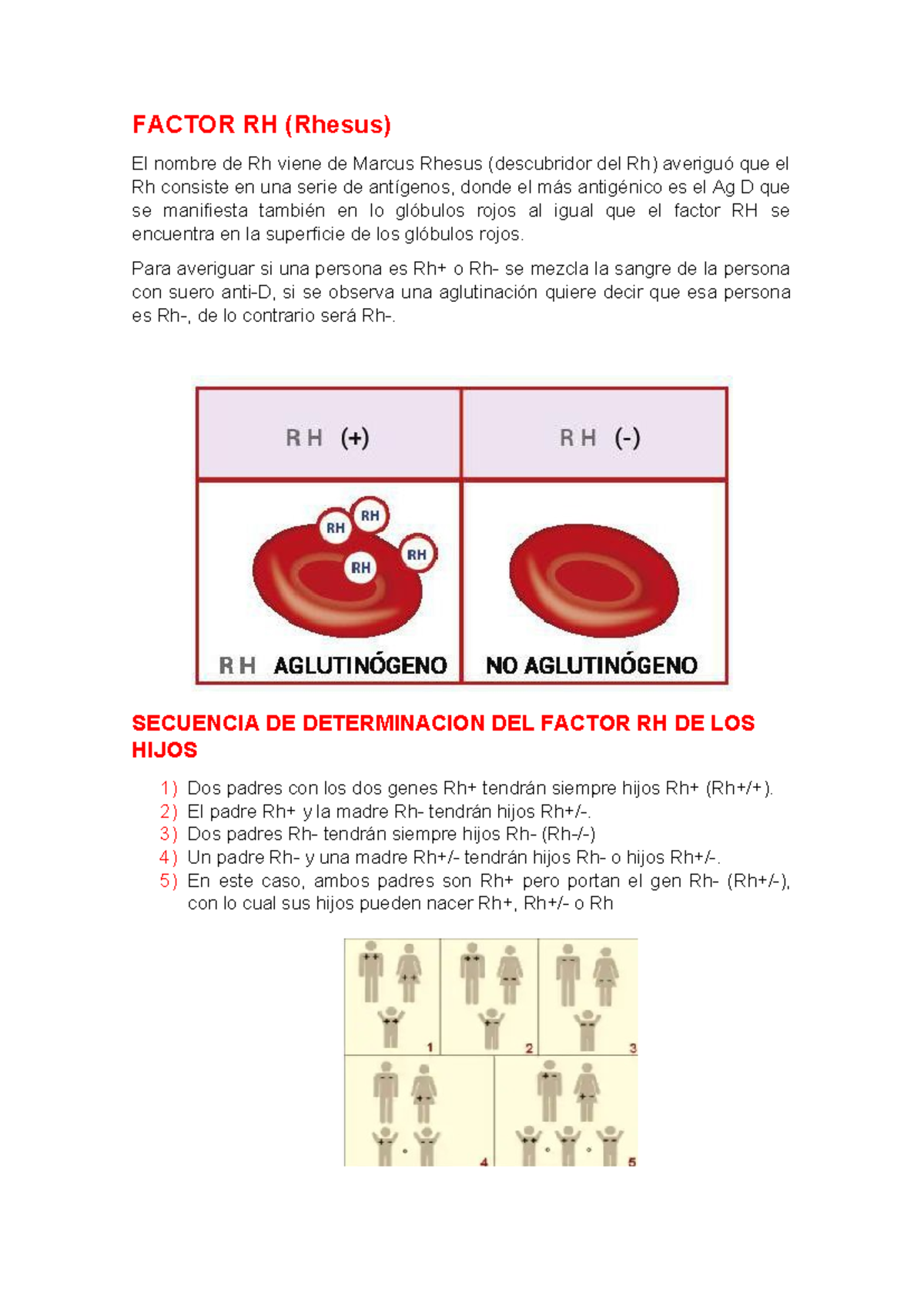 Factor RH - FACTOR RH (Rhesus) El nombre de Rh viene de Marcus Rhesus ...