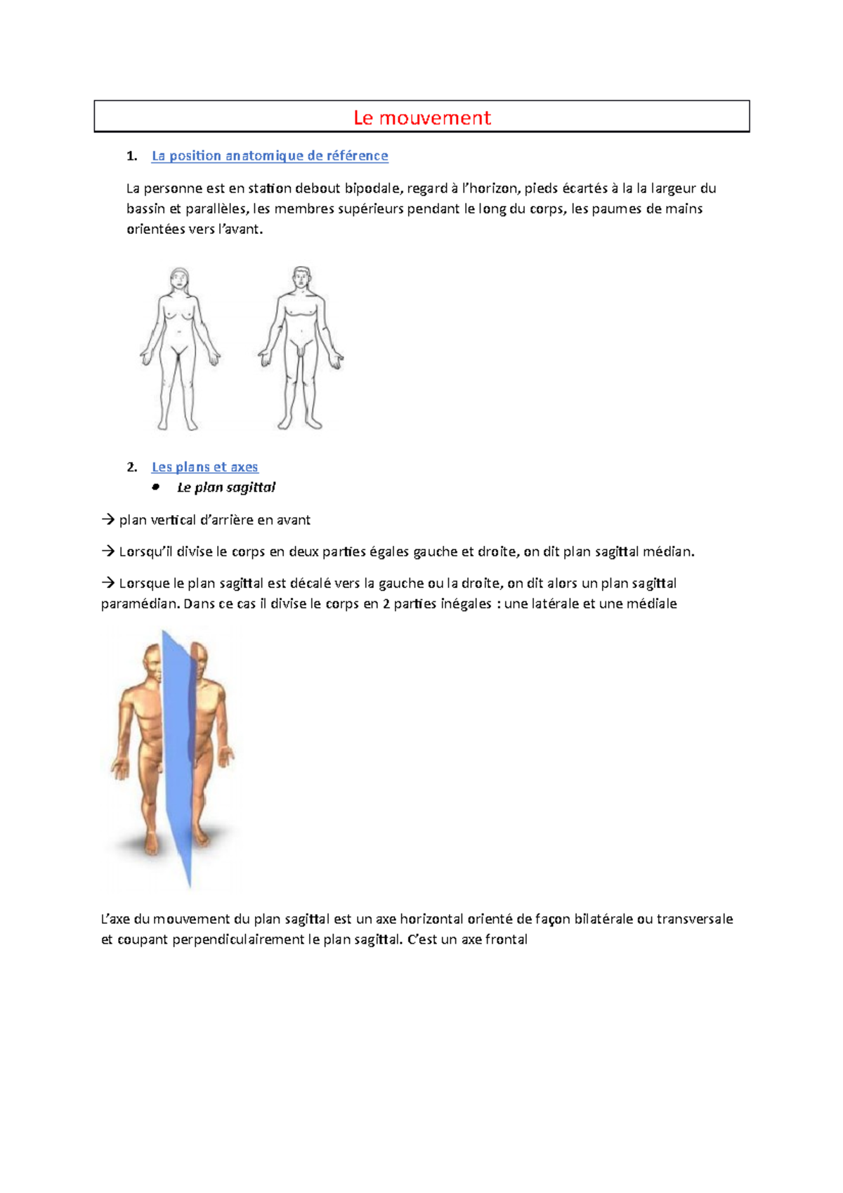 Le mouvement - La position anatomique de référence La personne est en ...