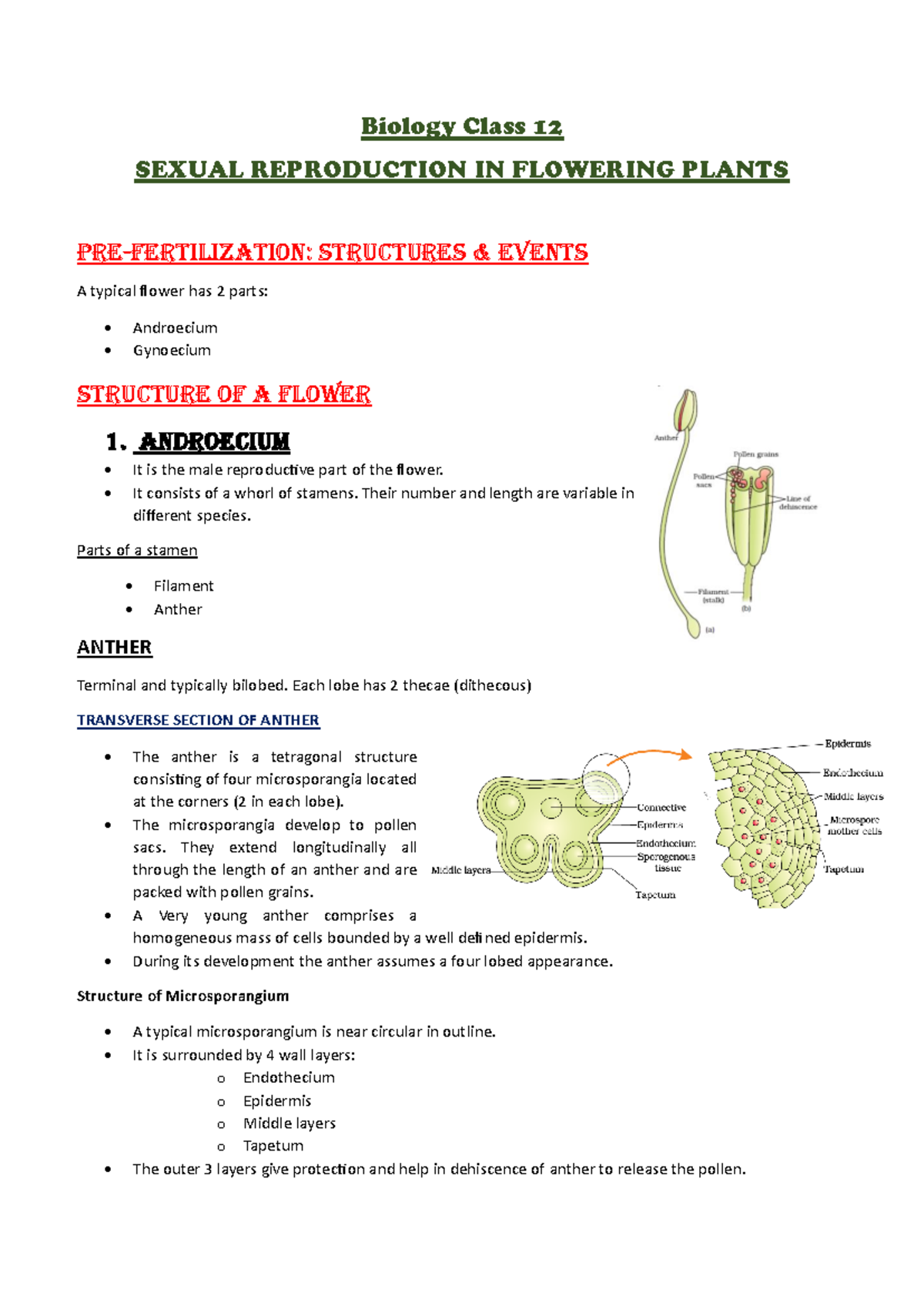 12- Sexual Reproduction IN Flowering Plants Cnsss Notes - Biology Class ...