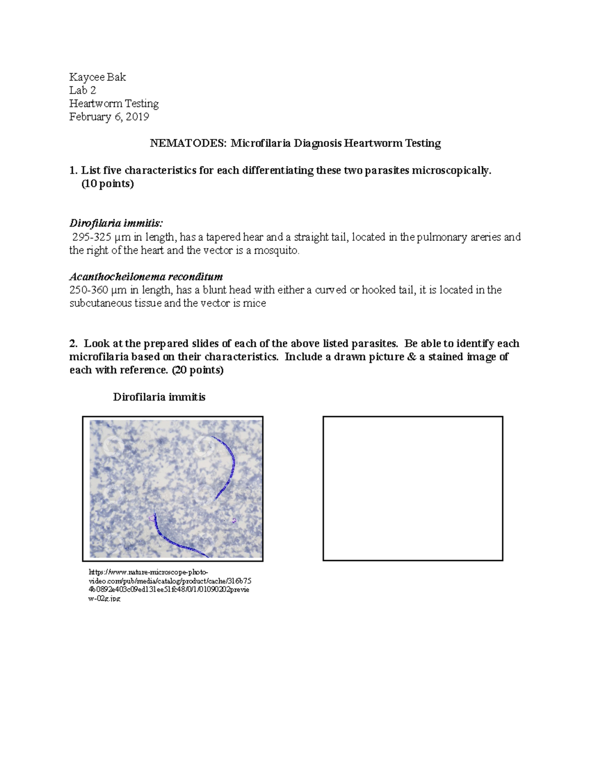 2 Lab Report 2 - Microfilaria Diagnostic Testing - Kaycee Bak Lab 2 ...