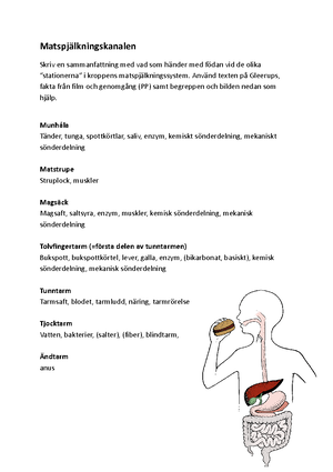 Cellandning & ATP - Cellandningen / respirationen Druvsocker + syre ...