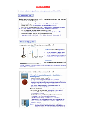 Explications supplémentaires Cellule de Thoma - par les deux traits ...