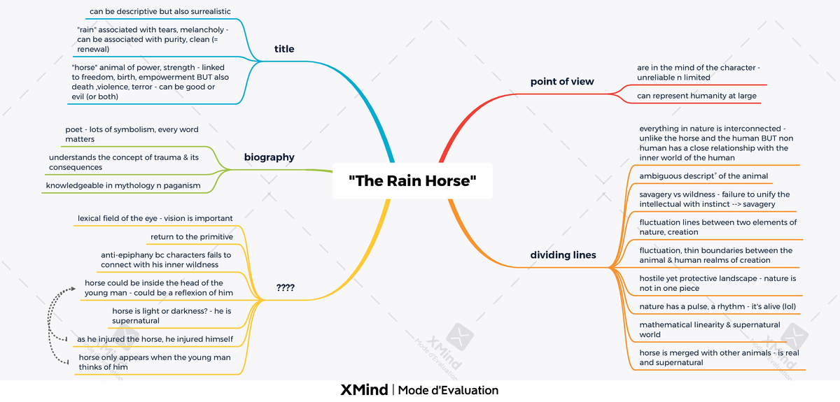 "The Rain Horse" - mind map - "The Rain Horse" point of view dividing ...