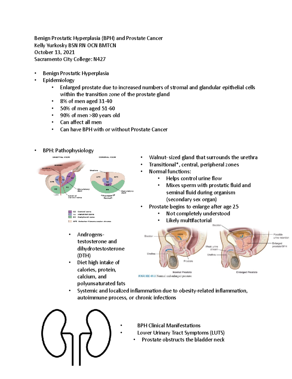 Benign Prostatic Hyperplasia (BPH) and Prostate Cancer Lecture Notes ...