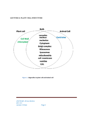 Lecture 3 Notes Bio cell division - LECTURE 3: CELL DIVISION CYCLE ...