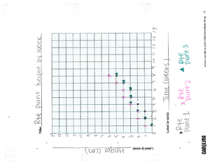 Scientific Method Lab Report Q - Faster Plop, Plop, Fizz, Fizz: A ...