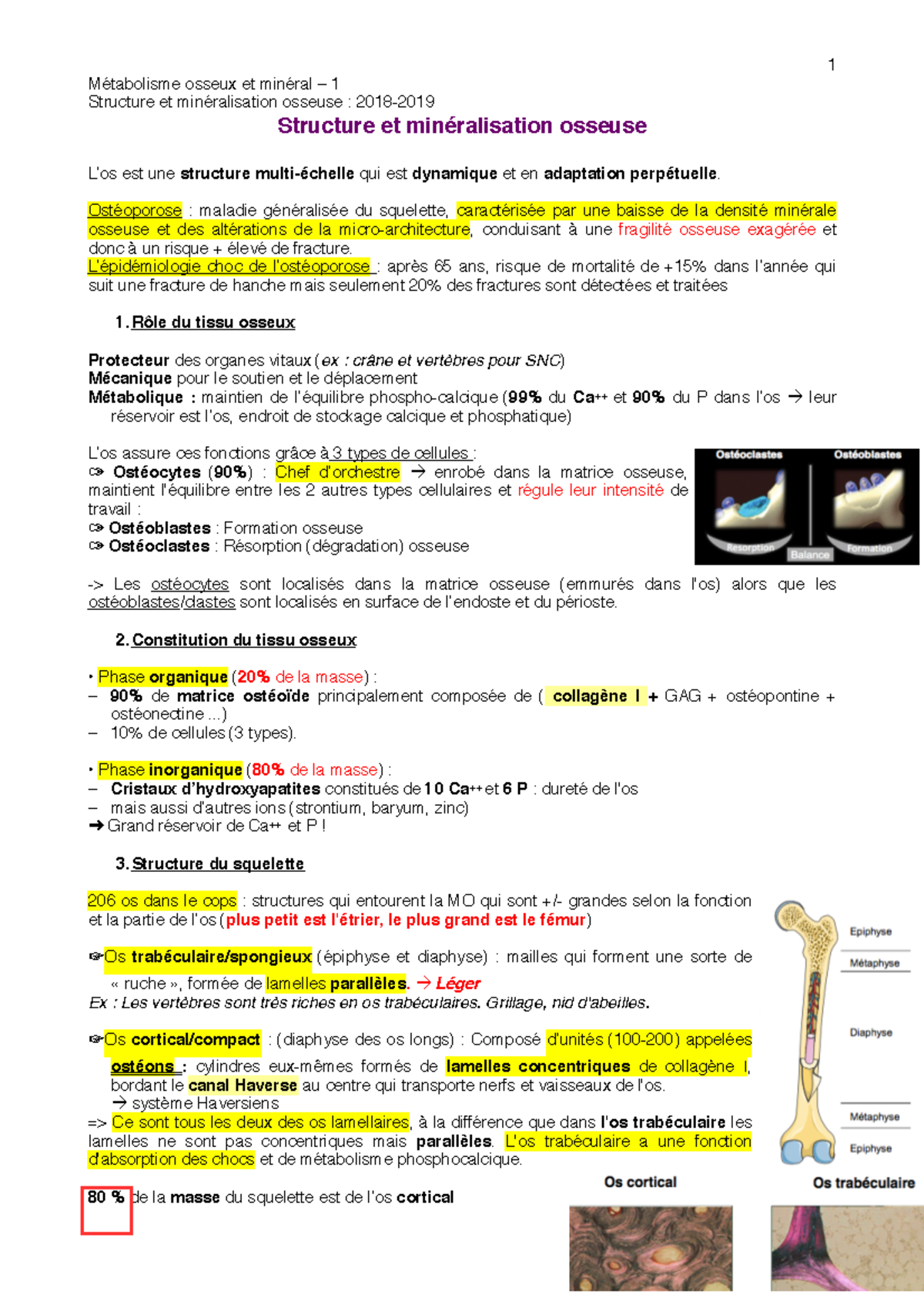 1. Structure et minéralisation - Warning: Error during font loading: XMLHttpRequest is not ...