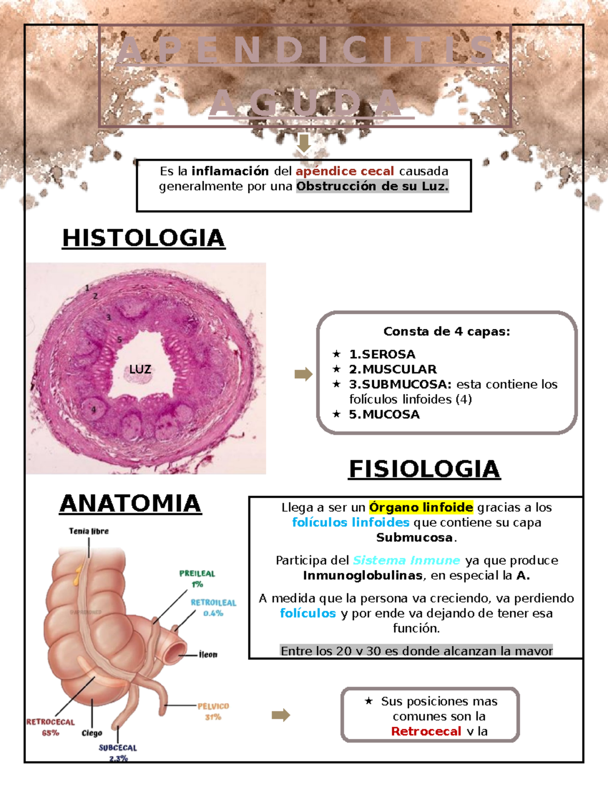 Apendicitis - A P E N D I C I T I S A G U D A HISTOLOGIA DEL Es la ...