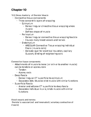 Chicken Leg Lab Dissection Lab Report - Tissue and Membranes Lab ...