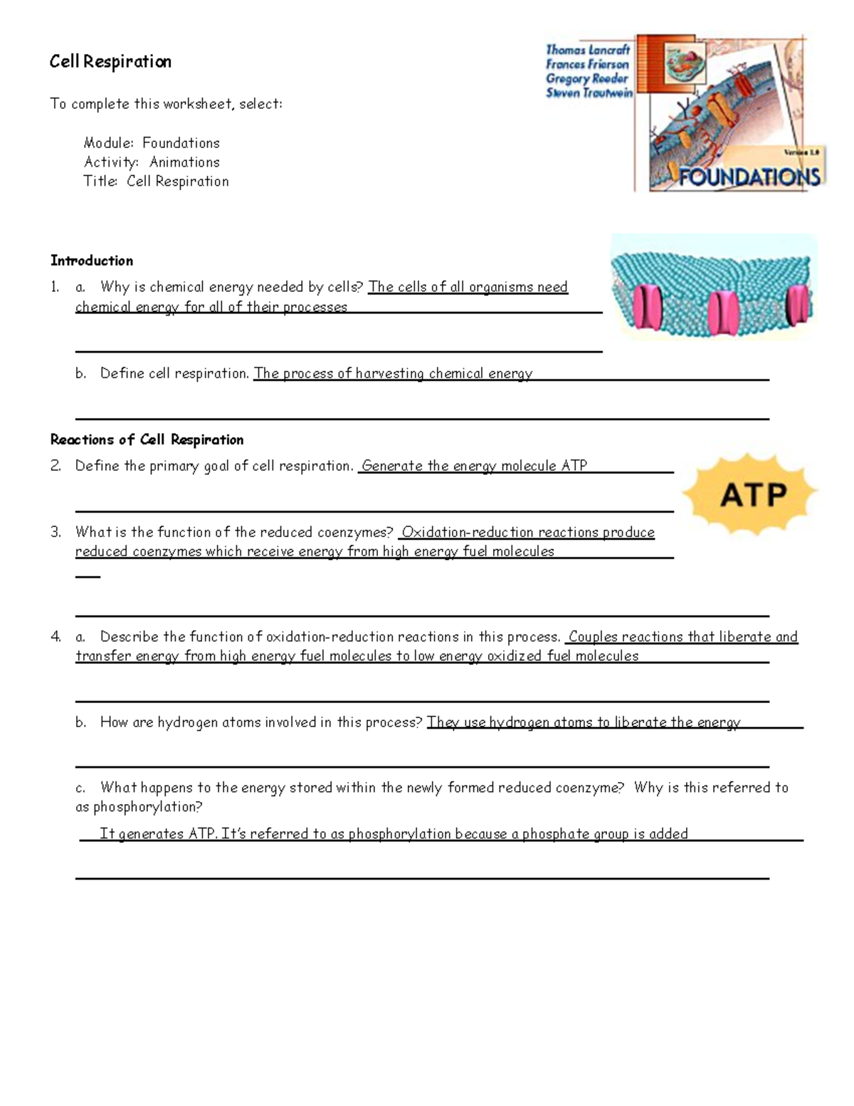 Animation cell respiration worksheet Answer Key - Cell Respiration To ...