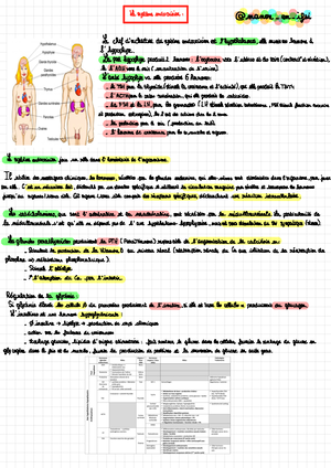 Fiche Appareil Reproducteur - INTRO périnée = ens des parties molles ...