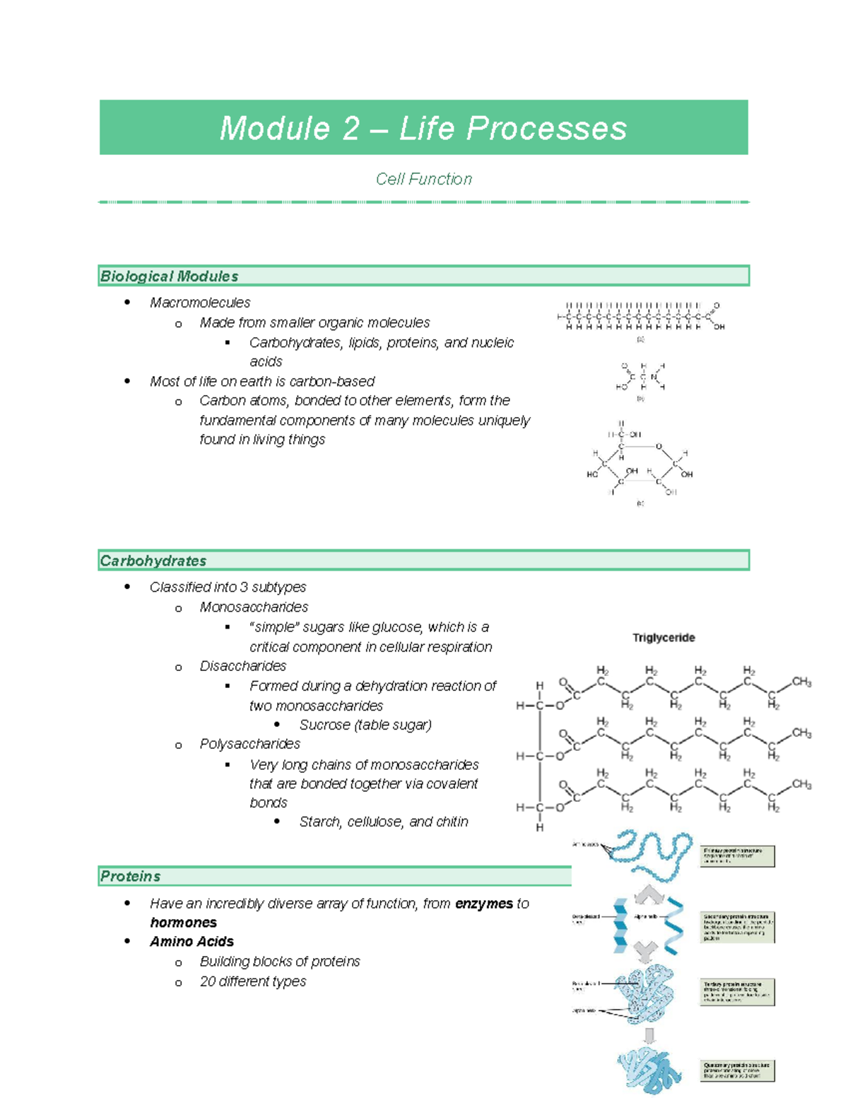 Basic Biology - Cell Function - Module 2 – Life Processes Cell Function ...