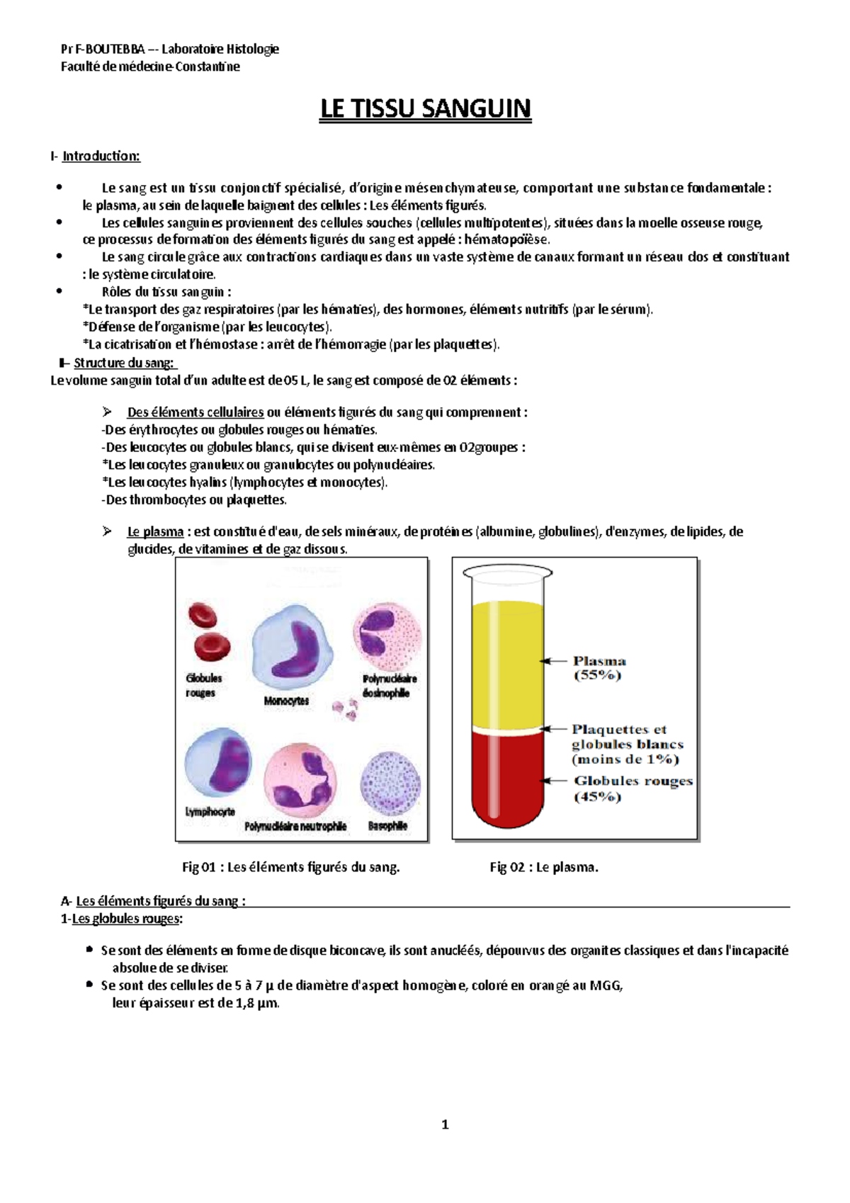 Tissu-sanguin - Bacteria - Pr F-BOUTEBBA - Laboratoire Histologie ...