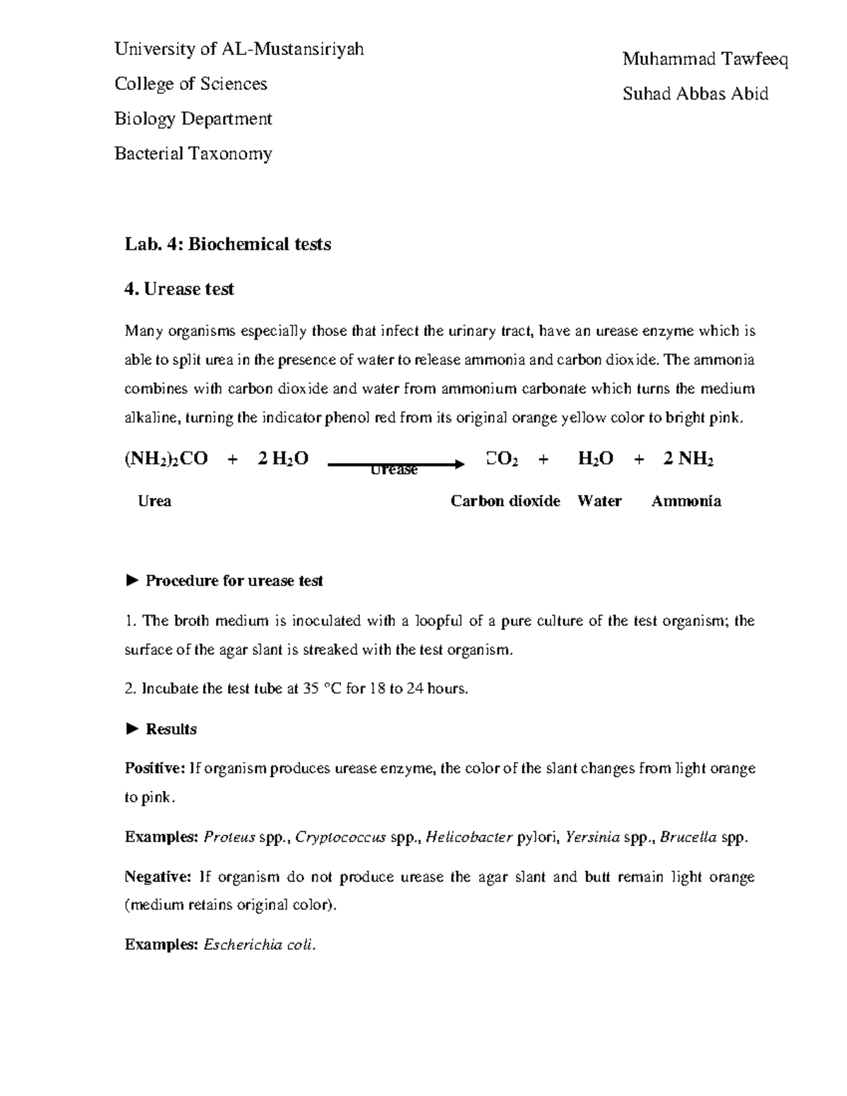 Bacterial Taxonomy - Lab. 4: Biochemical tests 4. Urease test Many ...