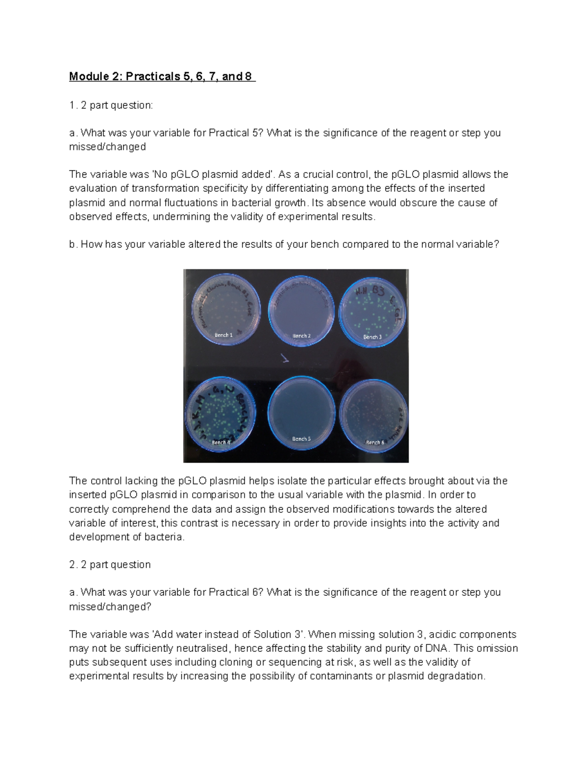 Module 2 Analysis of Results (Practical 5 - 8) - Module 2: Practicals 5 ...