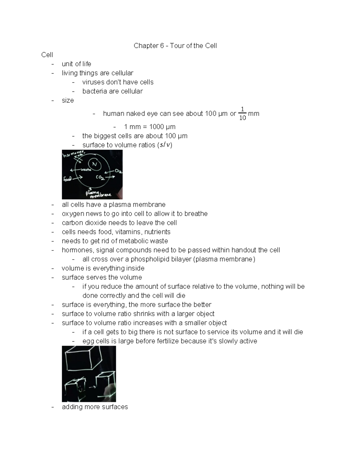 Chapter 6 - Tour of the Cell - Coli archaeans eukaryotic - eukaryotic ...