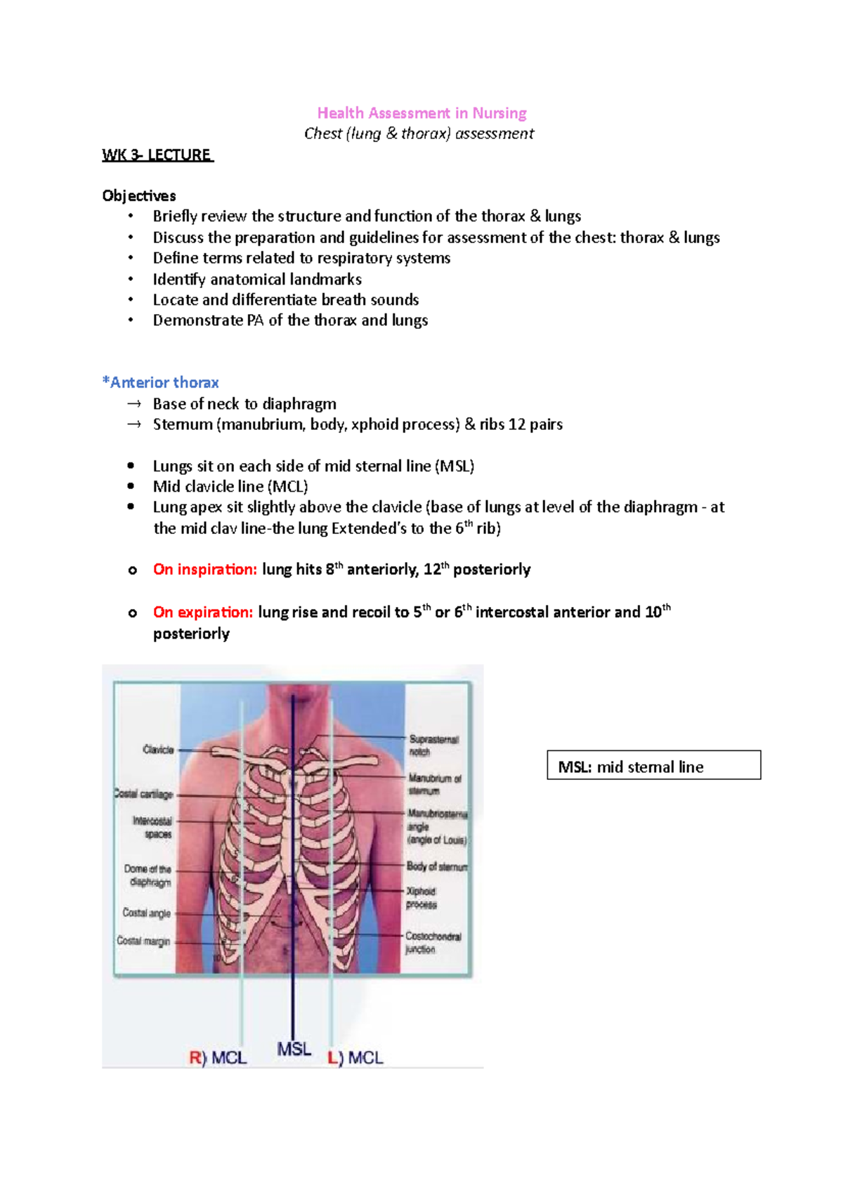 WK 3 - chest (lungs & thorax) assessment - Health Assessment in Nursing ...