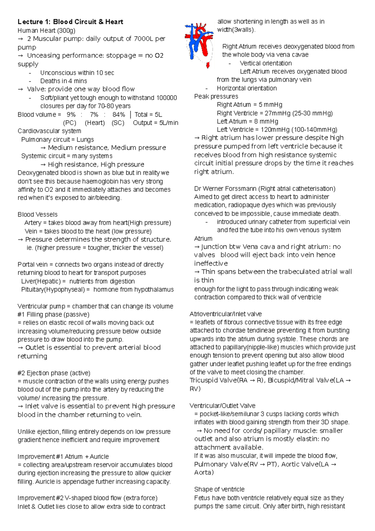 Medsci 142 - Cardiovascular system - Lecture 1: Blood Circuit & Heart ...