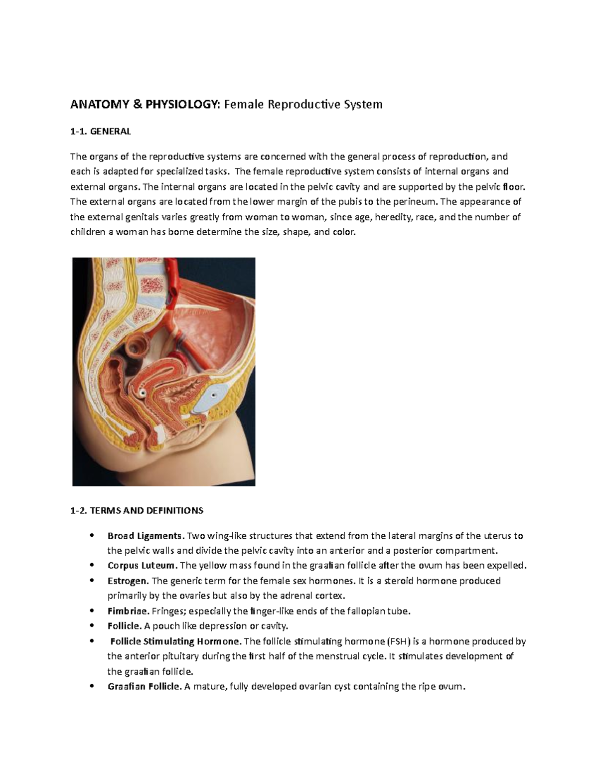Anatomy Physiology notes Female reproductive system - ANATOMY ...