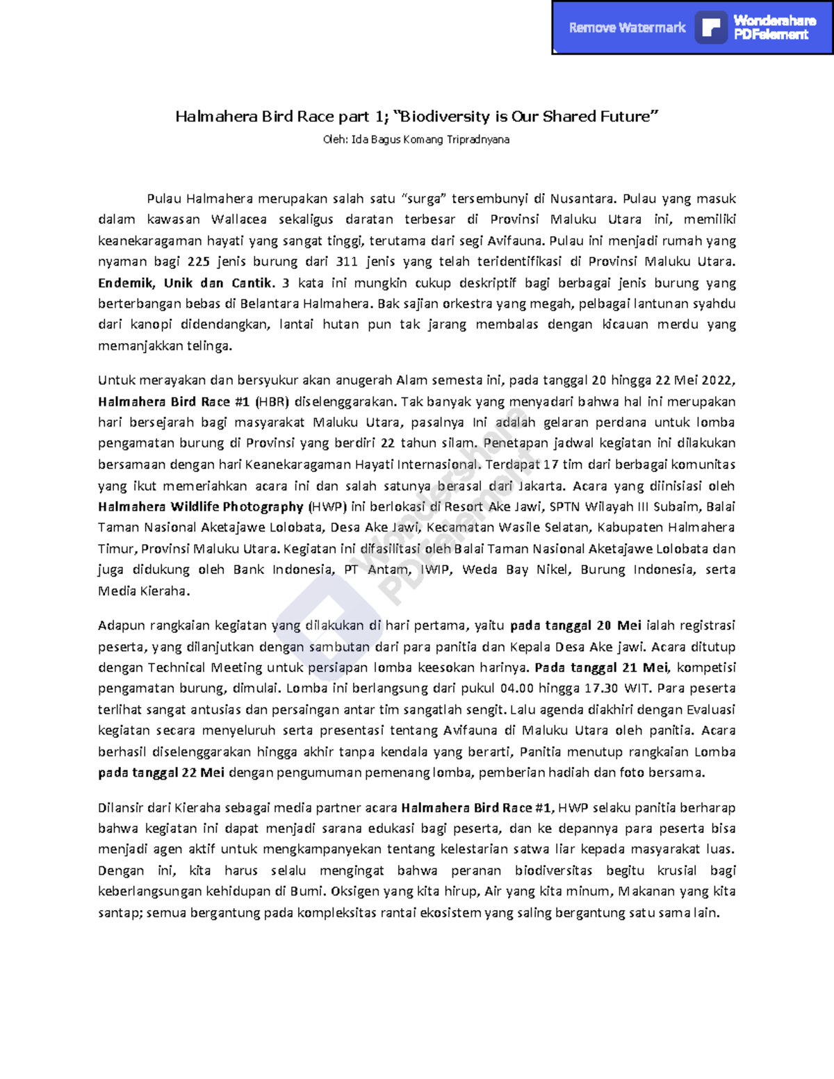 HBR concept - kulo - Halmahera Bird Race part 1;