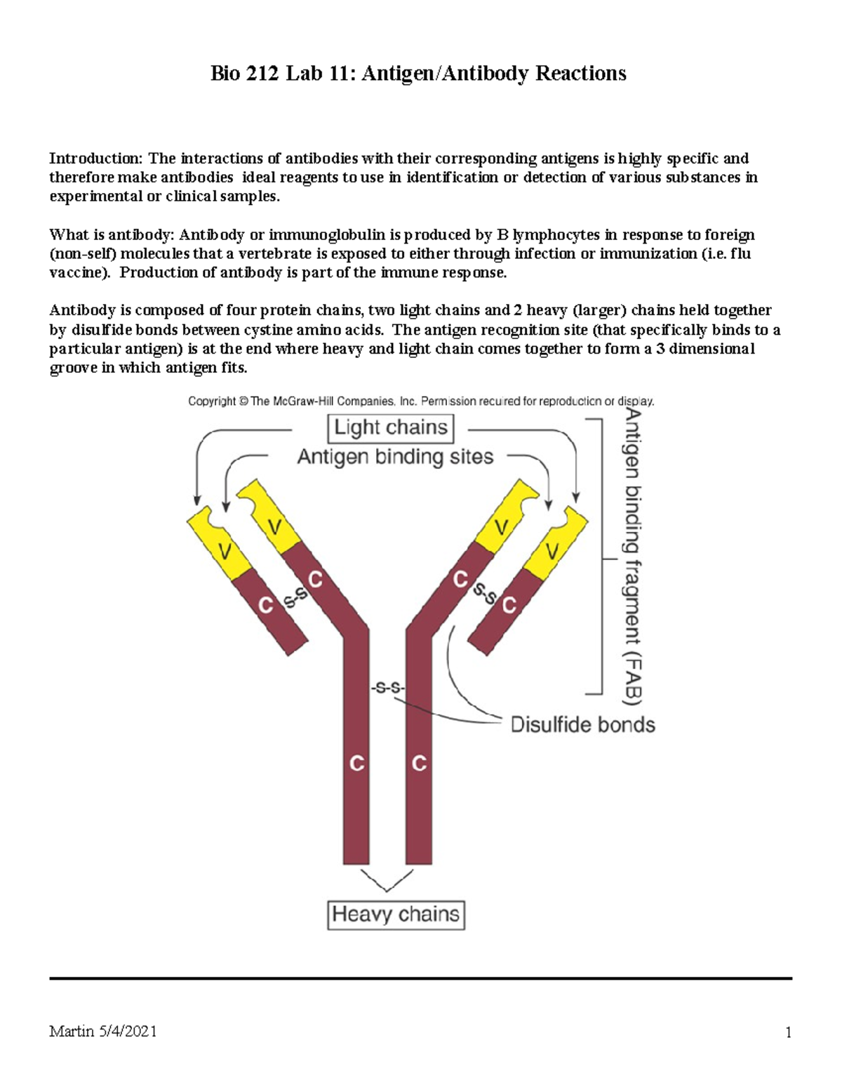 Bio 212 Lab 11 Antigen Antibody Reactions - Bio 212 Lab 11: Antigen ...