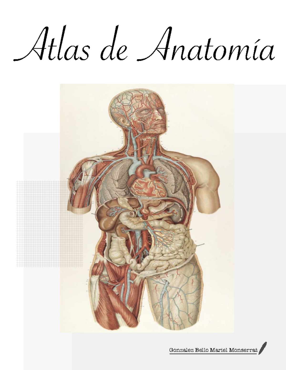 Atlas De Anatomía Humana - Atlas de Anatomía Gonzalez Bello Mariel ...