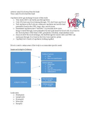 Endocrine System Practice - BIO 268 ENDOCRINE SYSTEM PRACTICE GHRH a ...