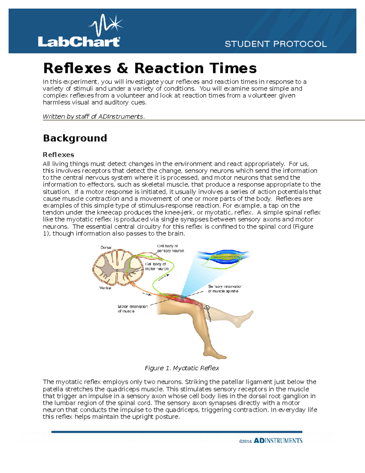 Reflexes and Reaction Times Student Protocol-1 - Reflexes & Reaction ...